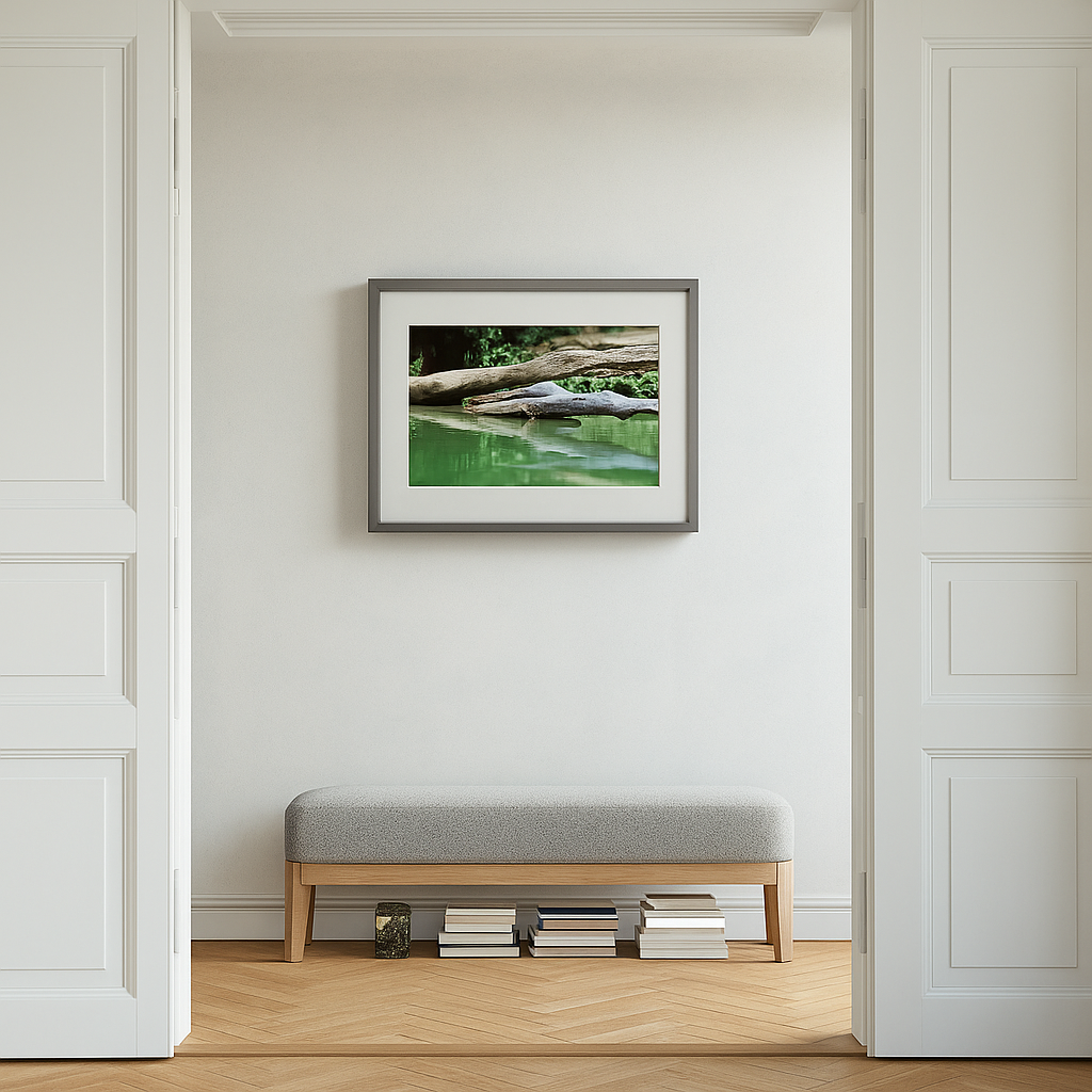 Nebula - Premium Digital Frames